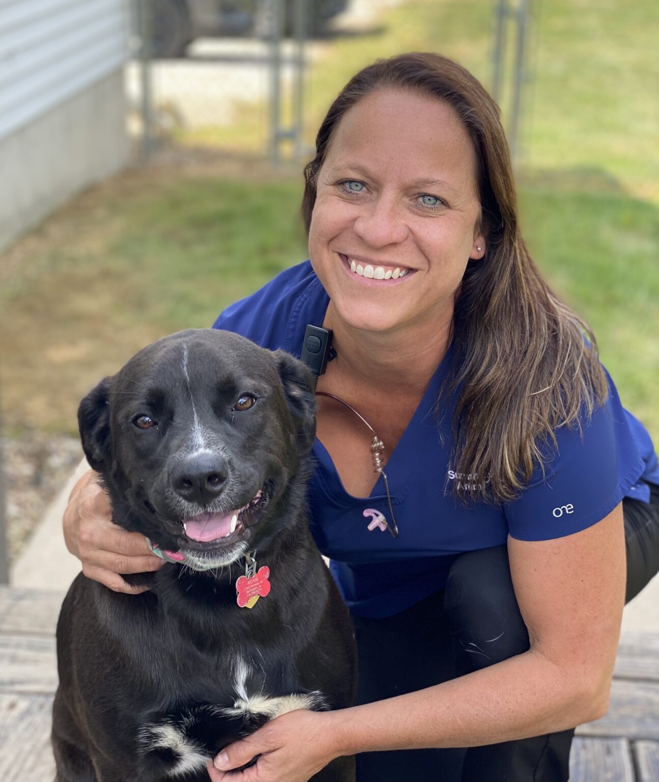 Meet the Team - Summer Street Animal Clinic